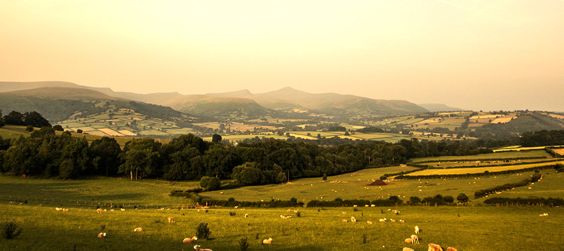 Experience a warm Welsh welcome at our Brecon hotel | Peterstone Court